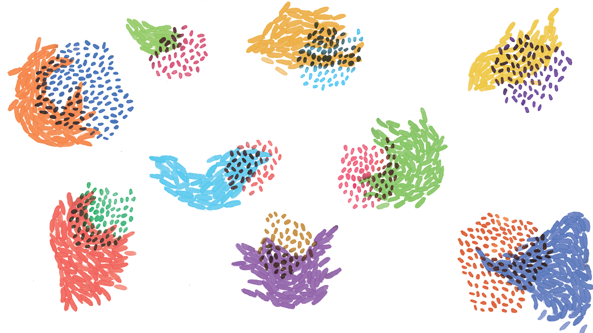 Research Themes - Microbiology & Cell Biology